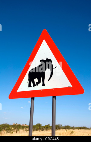 Road sign board warning for elephants, Sri Lanka Stock Photo - Alamy