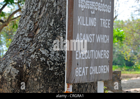 A Chankiri tree or Killing tree used to kill babies is on display at ...
