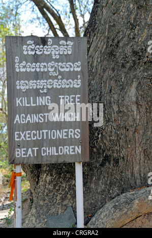 A Chankiri tree or Killing tree used to kill babies is on display at ...