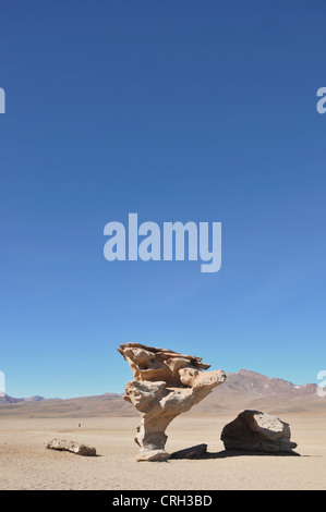 stone tree natural monument at Eduardo Avaroa Andean Fauna National ...