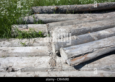 logs on ground Stock Photo - Alamy