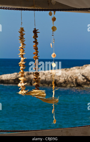 Frame of beautiful seashells in blue, red, pink and living coral color ...