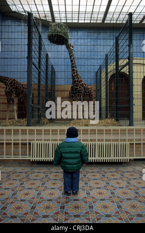 Different animals in the zoo Stock Photo - Alamy