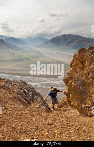 Wickersham Wall on Mt McKinley; Denali National Park, Alaska, USA Stock ...