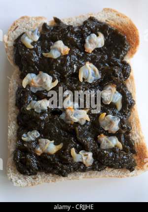 Welsh Breakfast of Laver Bread on Toast with Cockles Stock Photo - Alamy