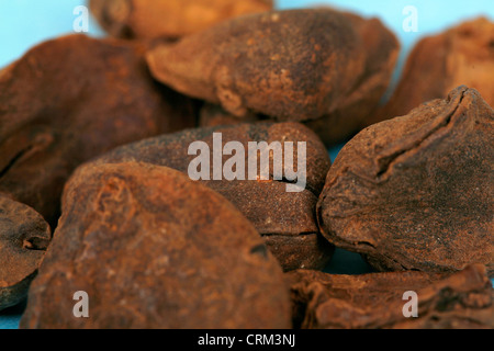 The kola nut contains caffeine and is chewed in many West African ...
