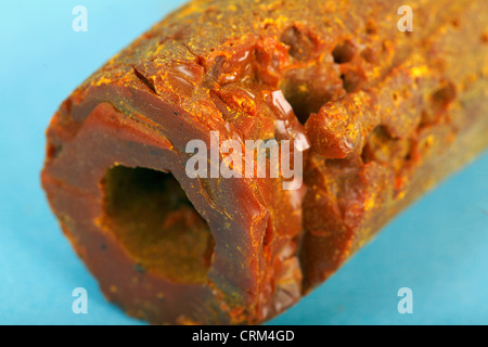 Gamboge also known as Siam Pipe gum resin produced trees in Siam Ceylon ...