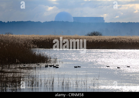 Minsmere RSPB Nature Reserve in Sufflok East Anglia UK One of the hides ...