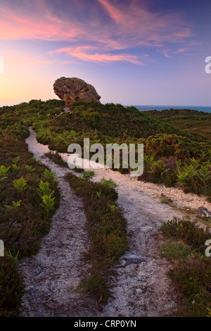 The Agglestone Rock on Studland Heath Dorset England UK Stock Photo - Alamy