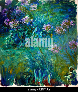 Claude Monet, Agapanthus, painting, 1914-1926 Stock Photo - Alamy