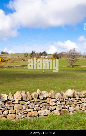 The village of Caldbeck, Lake District National Park, Cumbria, England ...