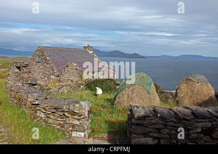 Cill Rialaig, an 18th century deserted village destined for demolition ...