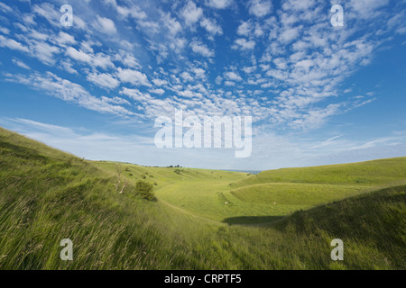 Chalk downland at Calstone Coombes, Wiltshire Stock Photo - Alamy