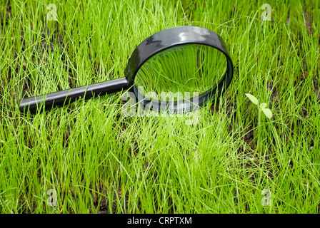 magnifying glass on green grass Stock Photo - Alamy