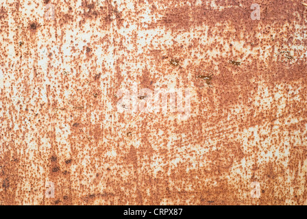 A close-up view of a rusty metal surface reveals textures and patterns ...