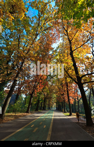 Bicycle road sign in autumn time Stock Photo - Alamy