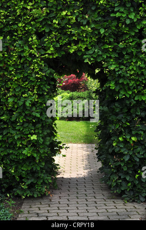 Passage Through a Hedge Stock Photo - Alamy