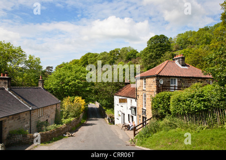 Birch Hall Inn Beck Hole Goathland North York Moors National Park Stock ...