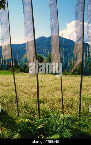 India; Sikkim; Tashiding Gompa, buddhist monastery, chortens Stock ...