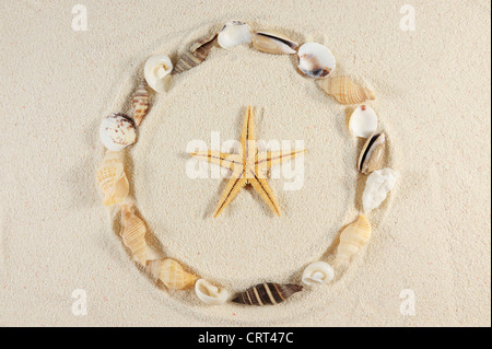 A circle of seashells Stock Photo: 38219069 - Alamy