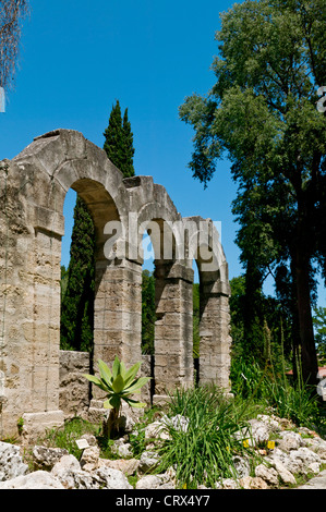 France, Herault, Montpellier, plants garden, pond covered with water ...