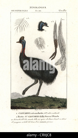 cassowary casuarius emu Stock Photo - Alamy