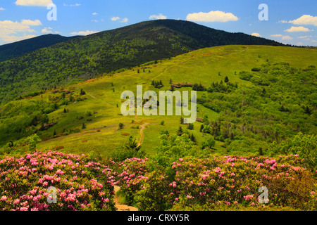Along Appalachian Trail on Jane Bald, Look at Round Bald, Roan Mountain ...