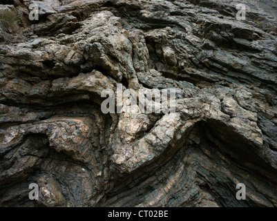 A geological fold in sedimentary rock. The fold is in the shape of a ...