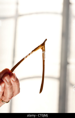 Hand holding a figure on a white background Stock Photo - Alamy