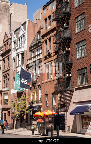 cityscape of an upper east side food vendor on a nyc street corner ...