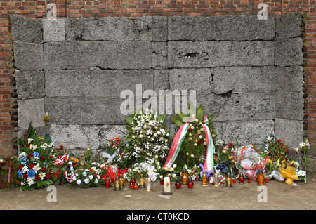 The Death Wall (execution wall) between Blocks 10 and 11, Auschwitz ...