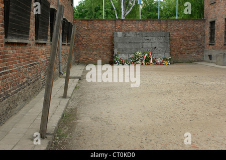 The Death Wall (execution wall) between Blocks 10 and 11, Auschwitz ...