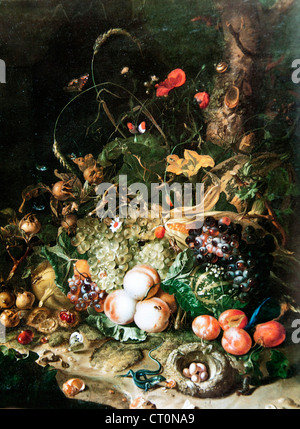 Rachel Ruysch - Still-Life with Fruit and Insects - WGA20557 Stock ...