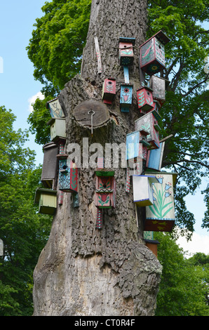 Nesting box on the trunk of an old apple tree. Concept of people care ...
