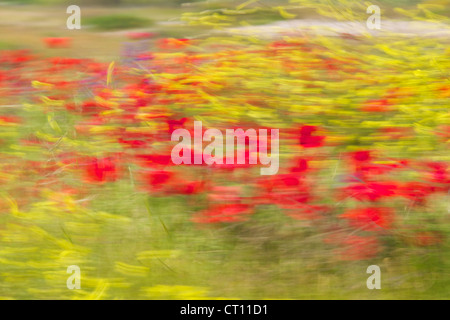 Dungeness, a blustery day Stock Photo - Alamy
