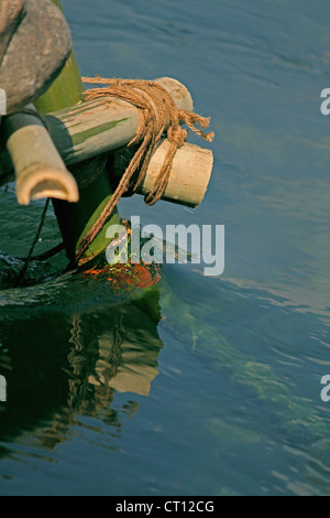 close-up of temporary bamboo bridge, Noa-Dehing river, Namdapha ...