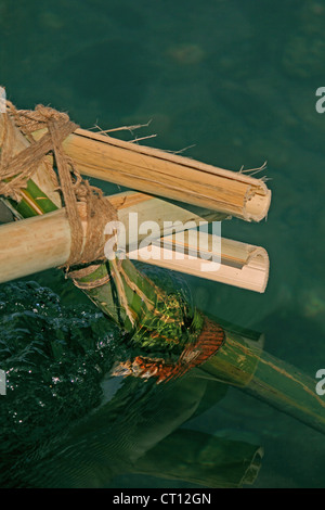 close-up of temporary bamboo bridge, Noa-Dehing river, Namdapha ...