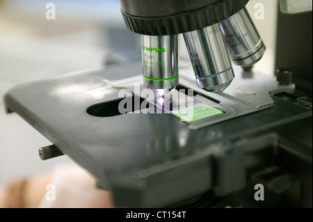 Blood samples, close up Stock Photo - Alamy