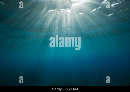 Sunbeams filtering through Water Surface, Caribbean Sea, Dominica Stock ...