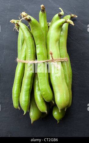 Broad beans bunch Stock Photo - Alamy