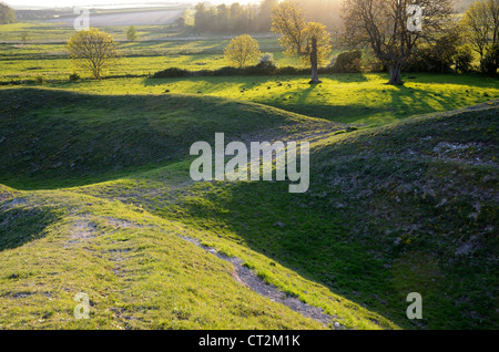 Warham Camp Iron Age Fort earthworks,Norfolk,England,Europe Stock Photo ...