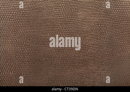 Shark leather texture background Stock Photo - Alamy