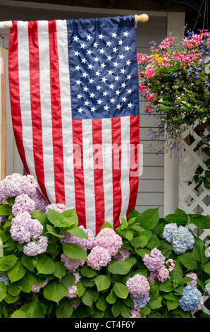 Rhode Island, Block Island. Hydrangeas with American flag Stock Photo ...