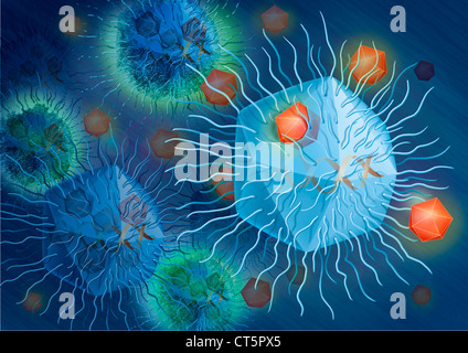 Illustration of a Sputnik virophage Stock Photo - Alamy