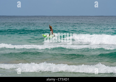 Surfing the beach break at Wizard Beach (First Beach) on Isla ...