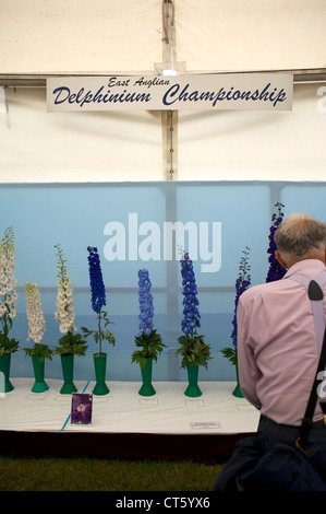 Norwich, Norfolk. The annual Royal Norfolk Show held at the Norfolk ...