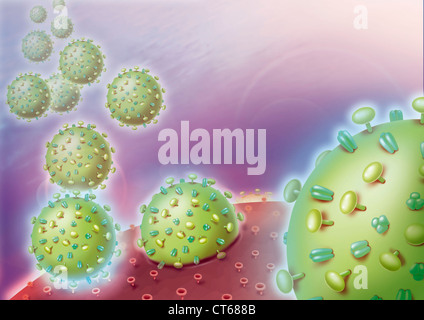 VIRAL INFECTION, ILLUSTRATION Stock Photo - Alamy