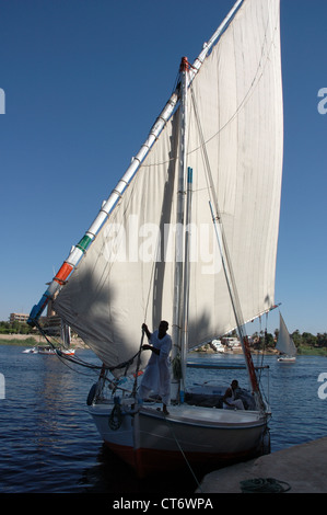 A traditional lateen-rigged boat on Lake Manzalah Stock Photo - Alamy