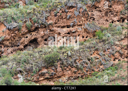 Inca burial chambers built into a cliff face, Pisac, Urubamba, Peru ...