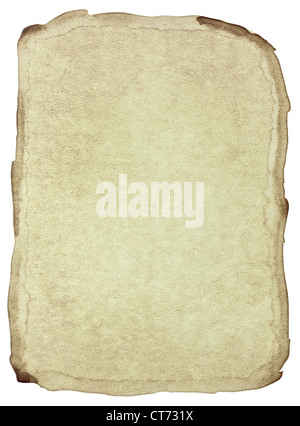 paper texture of the manuscript with frayed edges. isolated page from ...